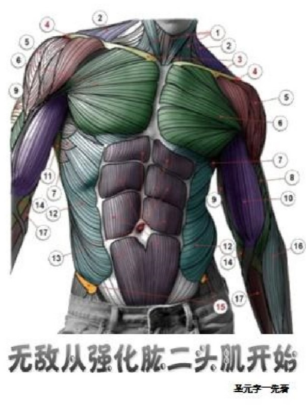 Vô Địch Từ Cường Hóa Cơ Bắp Bắt Đầu Convert